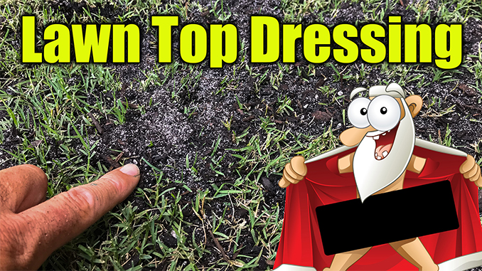 Top Dressing for Lawns Bermuda Grass Care