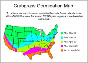 Bermuda Grass Calendar