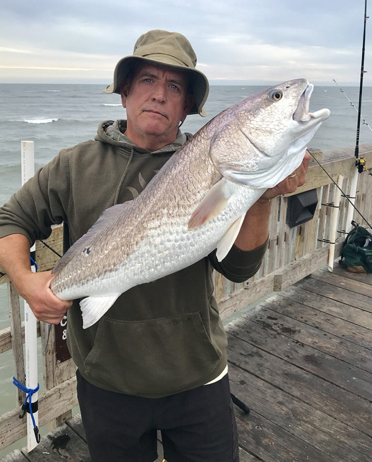Fishing for Huge Channel Bass and Redfish