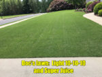 How to Get Thick Green Lawn Spring Lawn Care