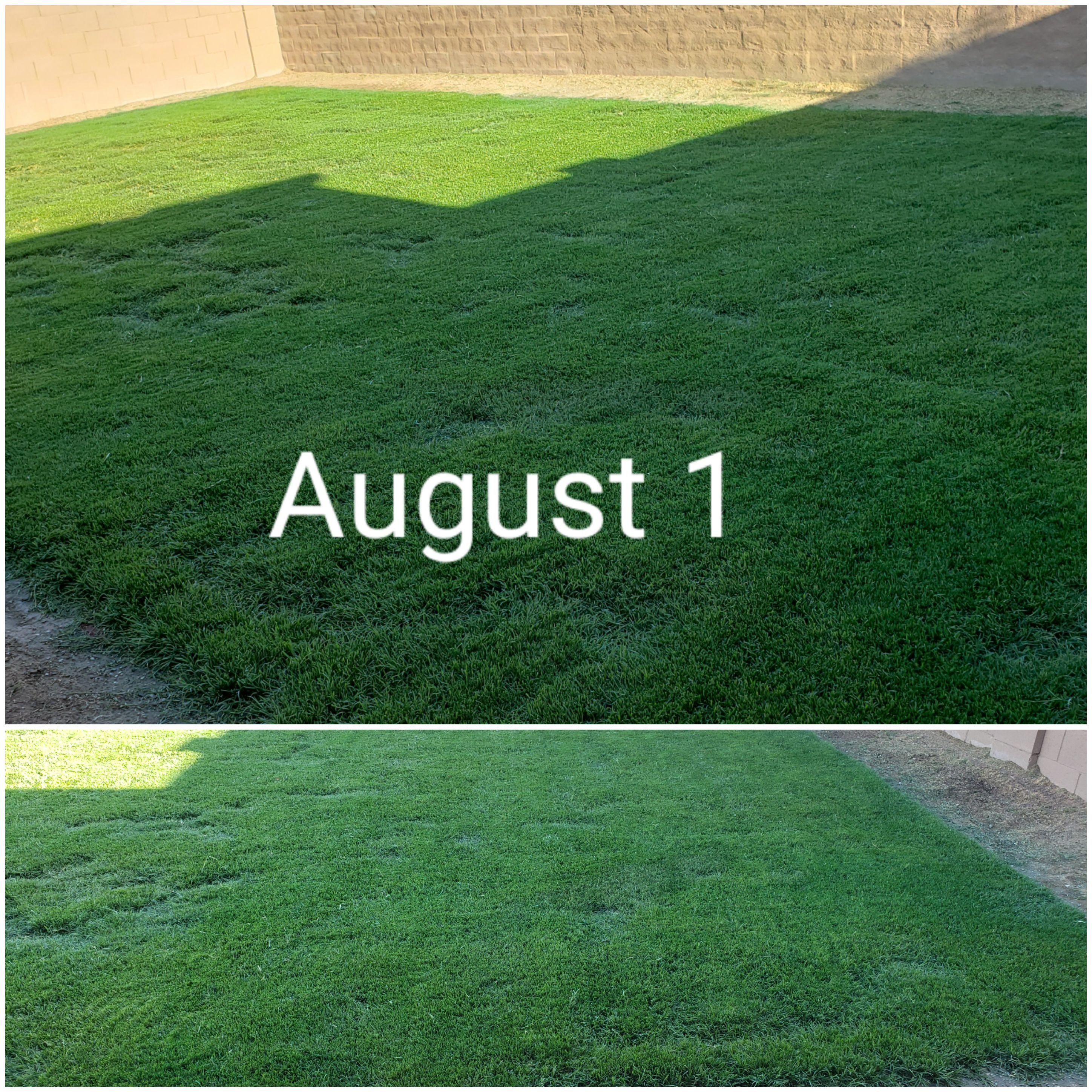 PGF Complete Reviews