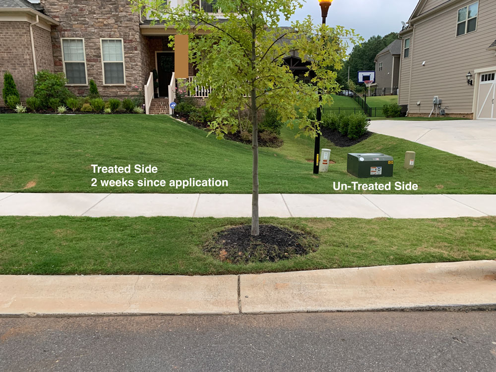 PGF Complete Reviews