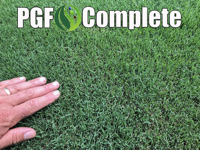 PGF Complete Fertilizer Results Lawn Fertilizers