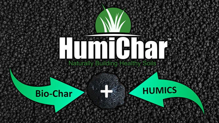 Best Biochar for Lawns Lawn Care