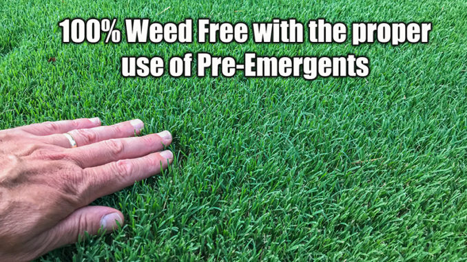 Spring Pre Emergent Lawn Care