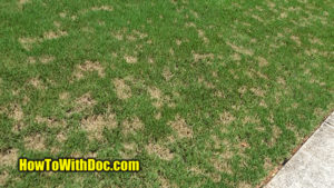 Lawn Disease and Lawn Insect Damage Lawn Care