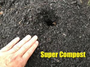 How to Make Nutrient Rich Garden Compost Gardening