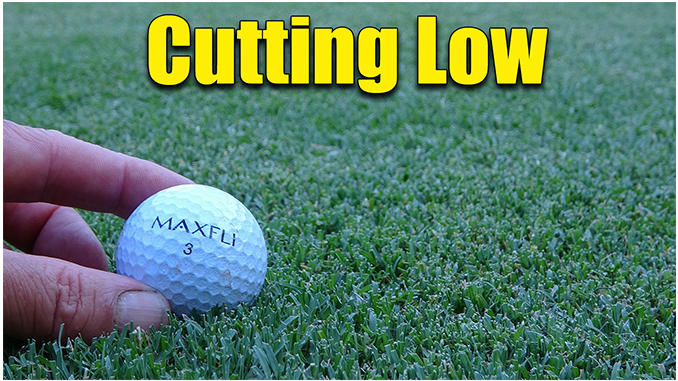 Short Cutting Bermuda Grass Bermuda Grass Care
