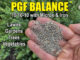 PGF Balanced Fertilizer Lawn Fertilizers