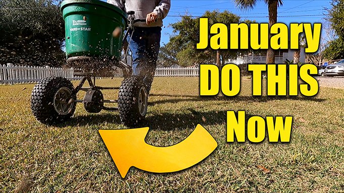 Dormant Lawn Care and Treatments for January and February Lawn Care