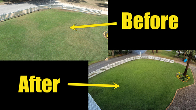 Drought Recovery Spoon Feeding Lawn Fertilizer Lawn Care