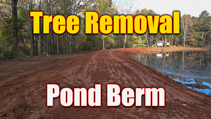 Pond Berm Tree Removal Pond Care