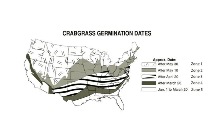 Preemergent Lawn Treatments How To Lawn Care