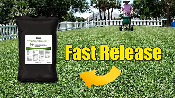 When to Use Fast Release Fertilizers - Summer Lawns Lawn Care