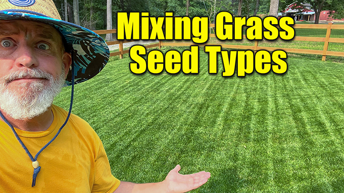 Can You Mix Different Lawn Grass Seeds Lawn Care