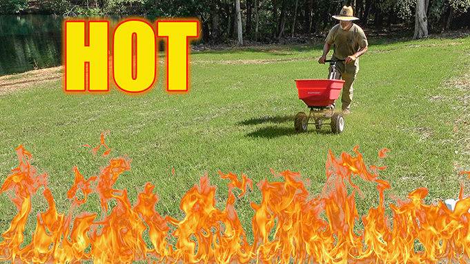 Extreme Heat Summer Lawn Care Lawn Care