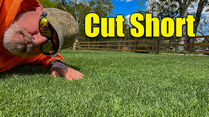 Cutting Grass Short in the Spring Lawn Care