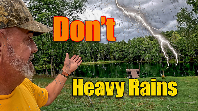 Heavy Rains Should You Fertilize or Wait Lawn Care
