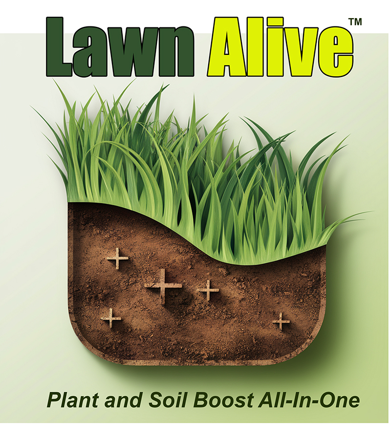 Spring Lawn Care Steps to Start Now Lawn Care