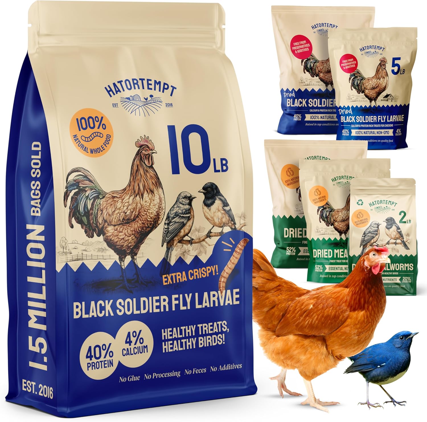 Raising Baby Chicks as They Age Raising Chickens